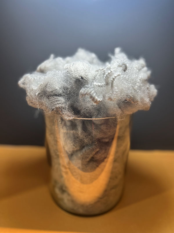 Buy Solid Polyester Fiber in bulk from Iran - Aysan Textile